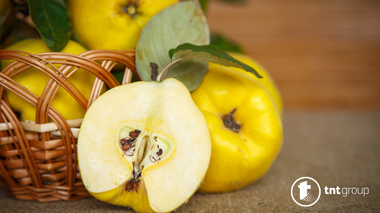 Šta sve možete napraviti od dunja? - 5 najboljih recepata